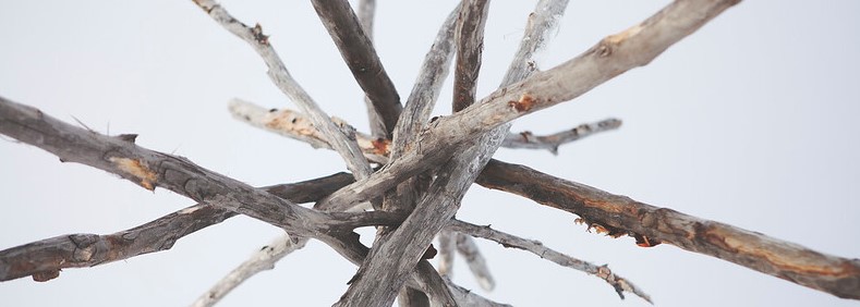 Kompetanse – Sett i Oppdal